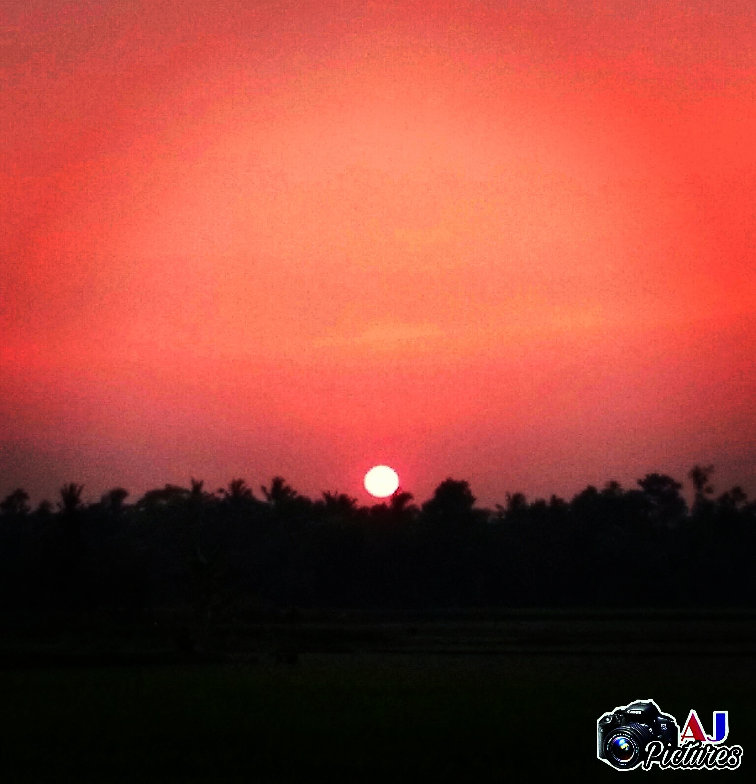 WBCPCR || Amar Chokhe Amar Prithibi